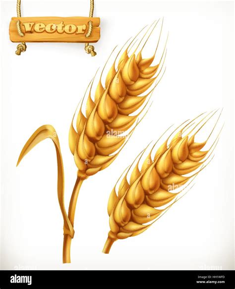 Wheat 3d Vector Icon Stock Vector Image And Art Alamy