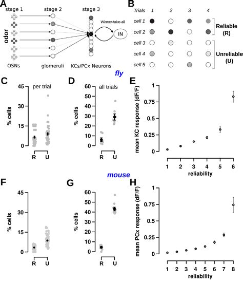 Figure 1 From Effects Of Stochastic Coding On Olfactory Discrimination