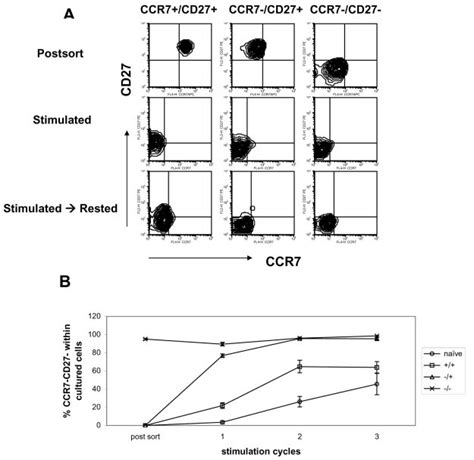 Phenotypic Changes Of CD Memory T Cell Subsets After Repeated Download Scientific Diagram