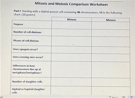 Solved Mitosis And Meiosis Comparison Worksheetpart I