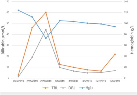 Trend Of Bilirubin And Hemoglobin Levels Throughout The Hospital Course Download Scientific