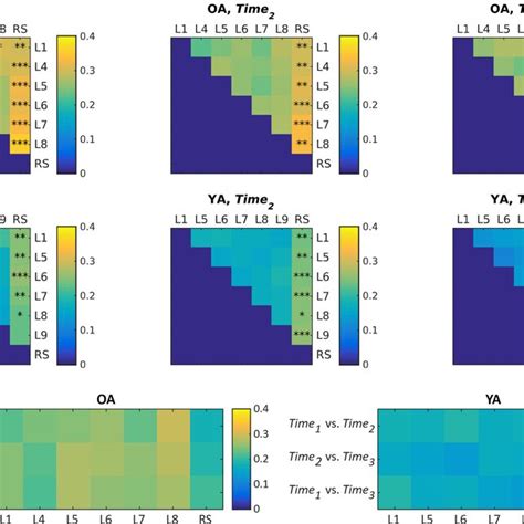 Training Effects On Brain‐wide Modularity For Older And Younger Adults