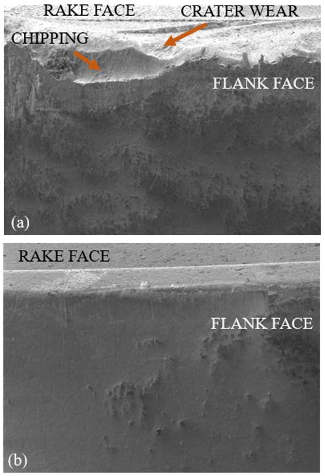 Tool Wear Prediction When Machining With Self Propelled Rotary Tools