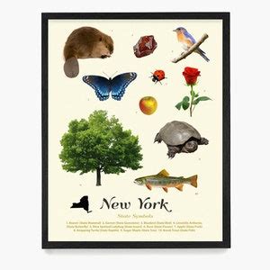 New York State Symbols Art Print Home Decor Etsy