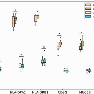Heatmap Of DEG Hierarchical Clustering Between Patients With AR And