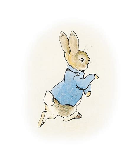Peter Rabbit Drawing At GetDrawings Free Download