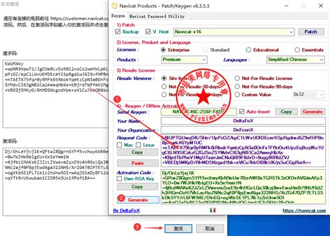点击 手动激活”，