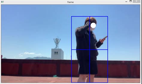 Python OpenCV OpenCV python을 활용한 객체추적 프로그램 flowerroot