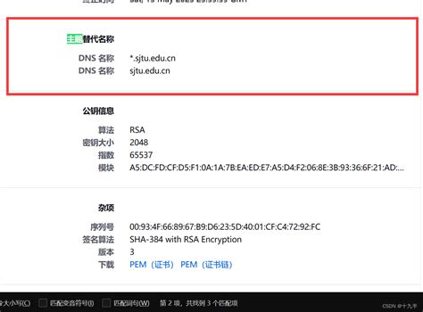 子域名收集技术详解 Csdn博客