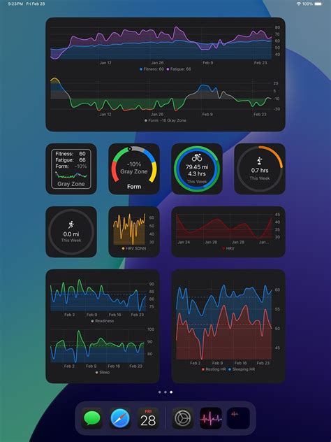 A New Intervals Companion App With Widgets External Projects