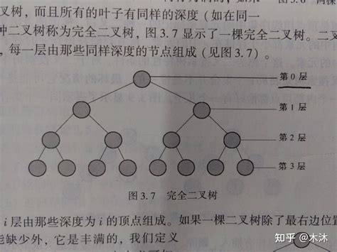 数据结构中树的深度和高度区分 知乎