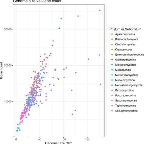 Scatter Plot Showing The Relationship Between Genome Size And Gene