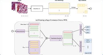 Learning To Predict RNA Sequence Expressions From Whole Slide Images RNA Seq Blog