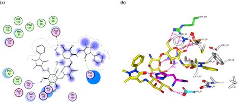 A 2d Binding Interaction And B 3d Yellow Stick Binding Mode Of