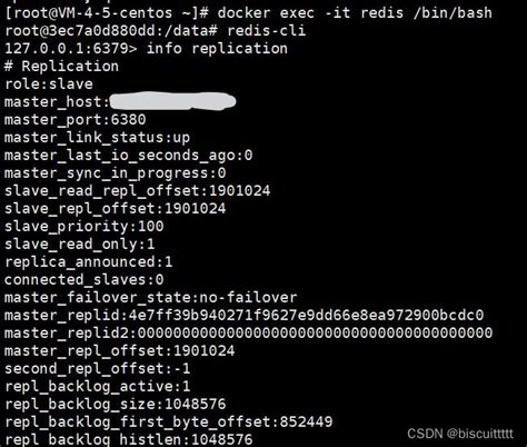 docker 搭建 redis 主从，哨兵 docker 部署mysql主主 和redis 哨兵 csdn博客
