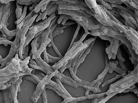 Scientists Discover How To Make Electricity Out Of Thin Air