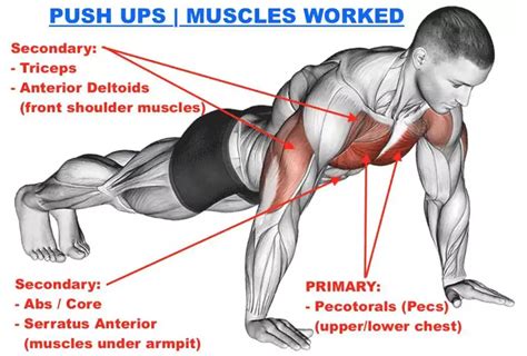 All Push Up Workout Online