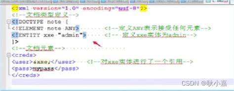 37 命令注入攻击通用系统命令注入 Csdn博客