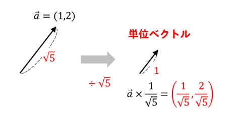 【数学b】単位ベクトルの求め方とは？平行、垂直な場合の求め方も解説！ 数スタ