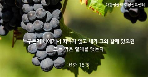 말씀 묵상 1 나는 참 포도나무요 나의 아버지는 농부이시다 2 나에게 붙어 있으면서 열매를 맺지 못하는 가지는 아버지께서 모조리 쳐내시고 열매를 맺는 가지는 더 많은