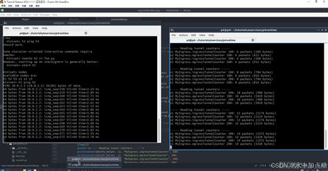 sdn高性能网络之——p4快速入门并实现ecmp load balancing p4编程入门 csdn博客