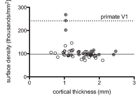 Figure 1 From Predicting Visual Acuity From The Structure Of Visual