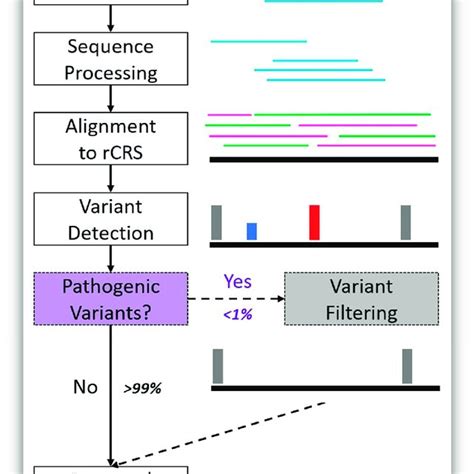 Example Bioinformatics Workflow Showing The Addition Of Pathogenic