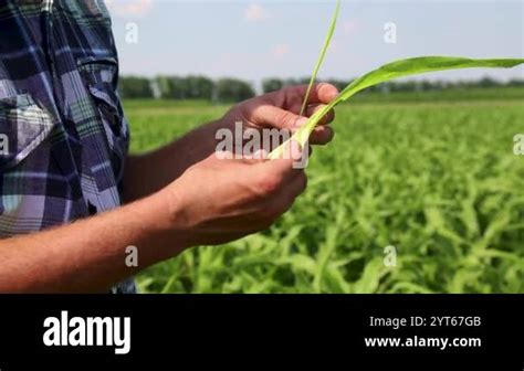 Rural Land Measurement Stock Videos And Footage Hd And 4k Video Clips Alamy