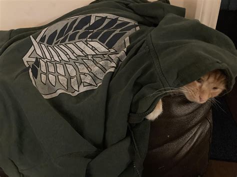 He Joined The Scout Regiment R Attackontitan