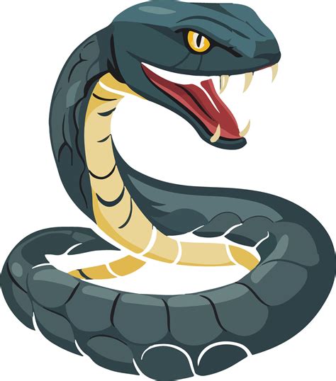 Fierce Snake With Open Mouth 50118229 Vector Art At Vecteezy