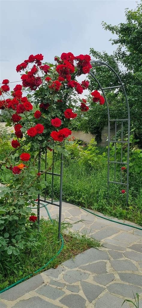 მეტალის ავეჯი მეტალის ავეჯი Added A New Photo