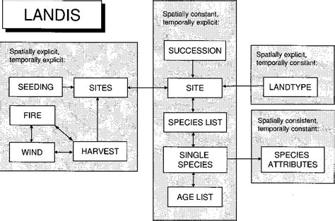 Figure 2 From An Object Oriented Forest Landscape Model And Its Representation Of Tree Species