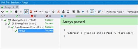 Using Mongo DB Creating Documents With BSON Document Part