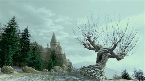 Image Of Hogwarts Whomping Willow
