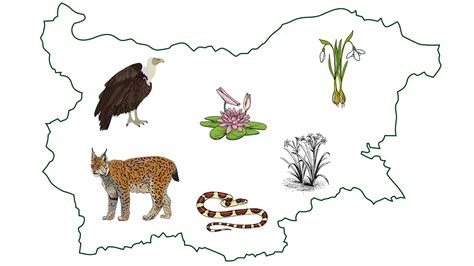 Допълнителни материали E Prosveta