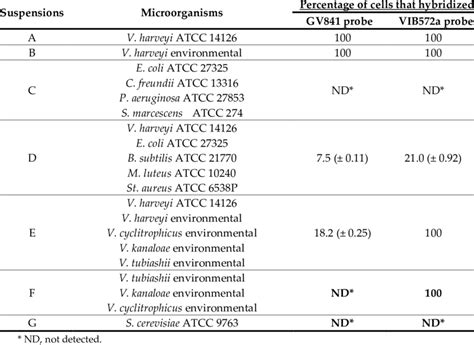 Percentage ± Standard Deviation Of Cells That Hybridized With The