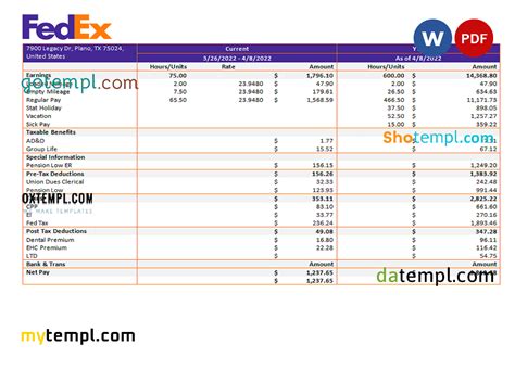 USA Fedex Transportation Company Pay Stub Word And PDF Example Mytempl
