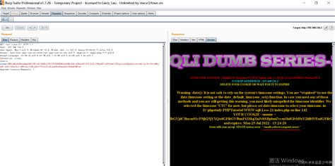 sql加解密注入详解 密码注入原理 csdn博客