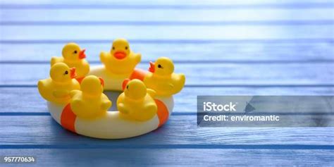 노란색 고무의 그룹 큰 풍선 인생 링 현장에 나타내는 개념적으로 물 파란 나무 배경 설정에 앉아 오리 고무 오리에 대한 스톡 사진 및 기타 이미지 Istock