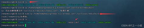 centos7 安装redis详细教程 centos7安装redis csdn博客