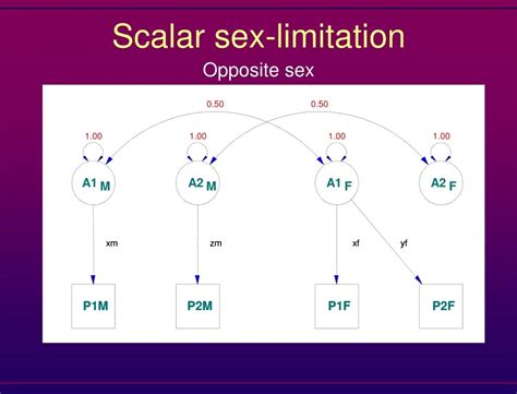Ppt The Problem Powerpoint Presentation Free Download Id 9577692