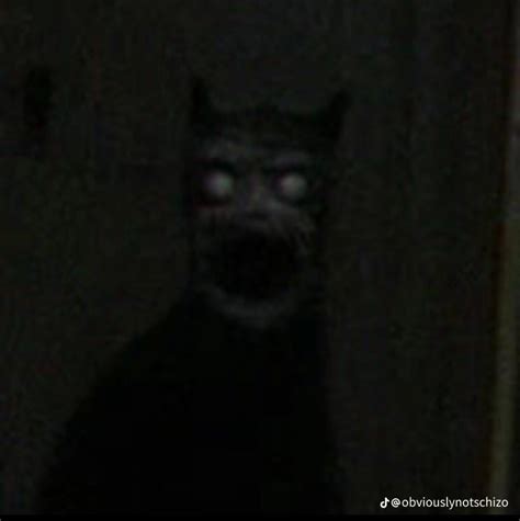Wassup Eddie Im I Have So Many Unnerving Pictures In My Camera Roll So