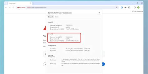 How To Fix NET ERR CERT COMMON NAME INVALID