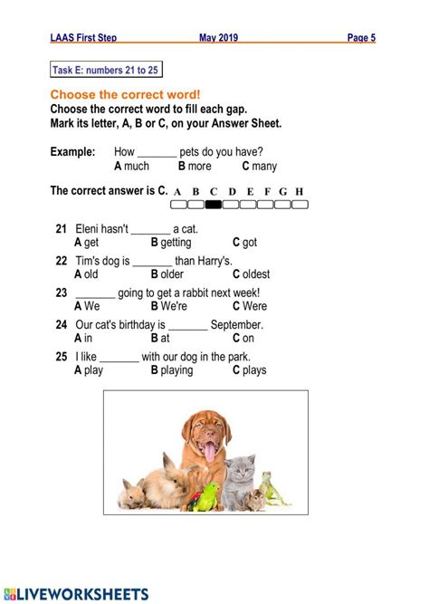 First Step 2019 Worksheet Live Worksheets