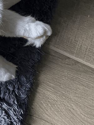 Split An Image Into Tiles With A Simple Python Package Blog Minas Giannekas