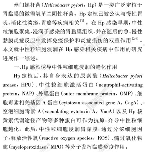医学文献丨中性粒细胞浸润在幽门螺杆菌感染相关疾病中作用的研究进展 知乎