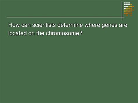 Ppt Chromosome Mapping In Eukaryotes Powerpoint Presentation Free
