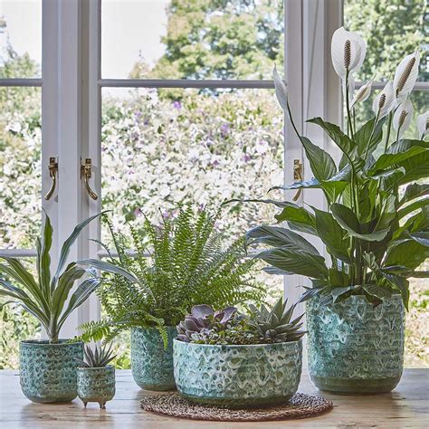 Ocean Glaze Plant Pot Emerald Quality Plant Pots Hortology