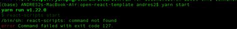 Fixing React Scripts Command Not Found Error