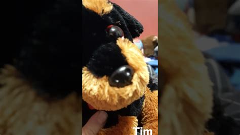 Timmy Strikes Back Youtube